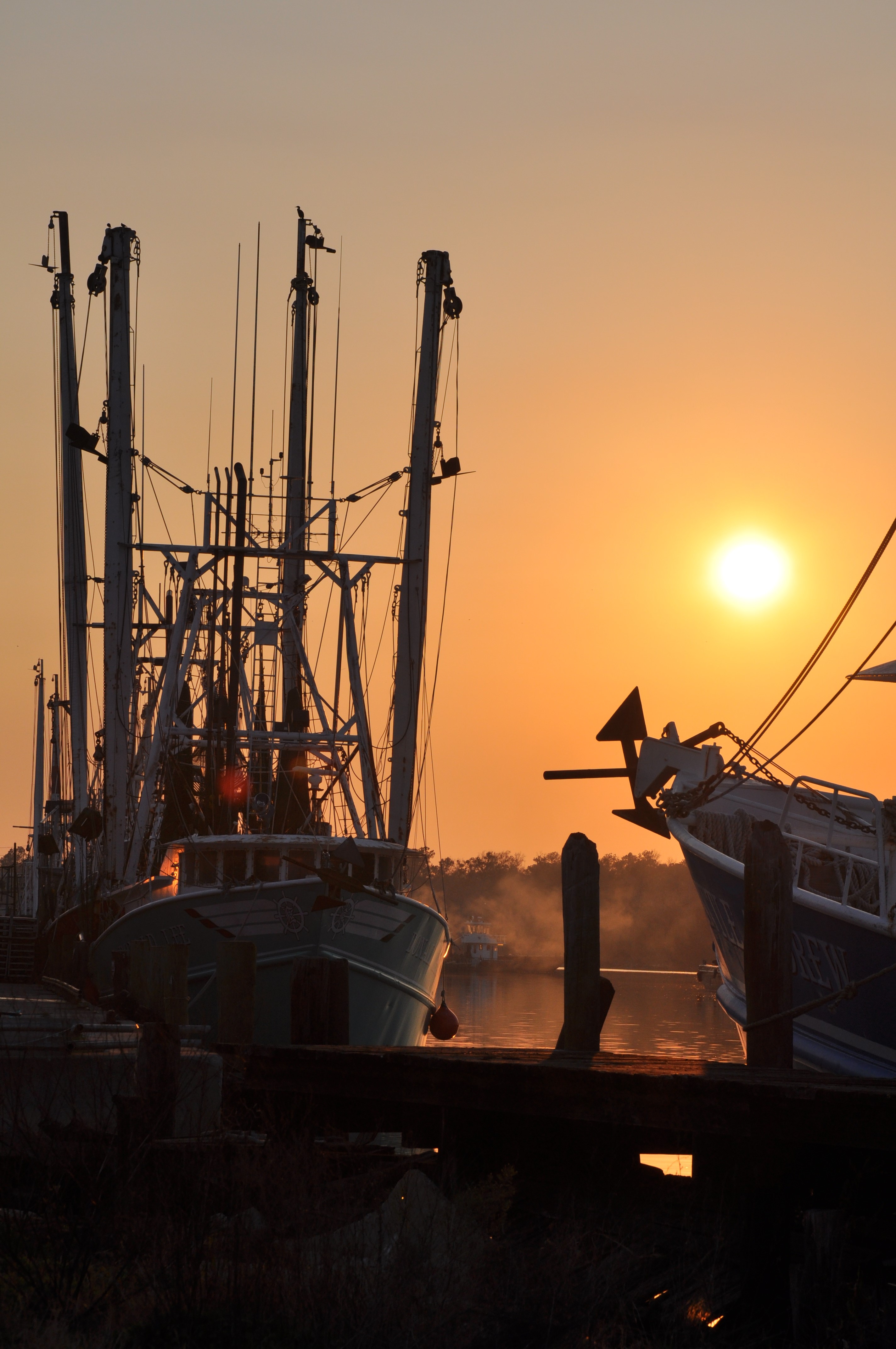 About Us – Sea Grant in the Gulf of America