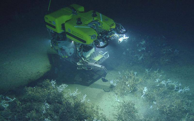 How do scientists ‘see’ underwater? – Sea Grant in the Gulf of America