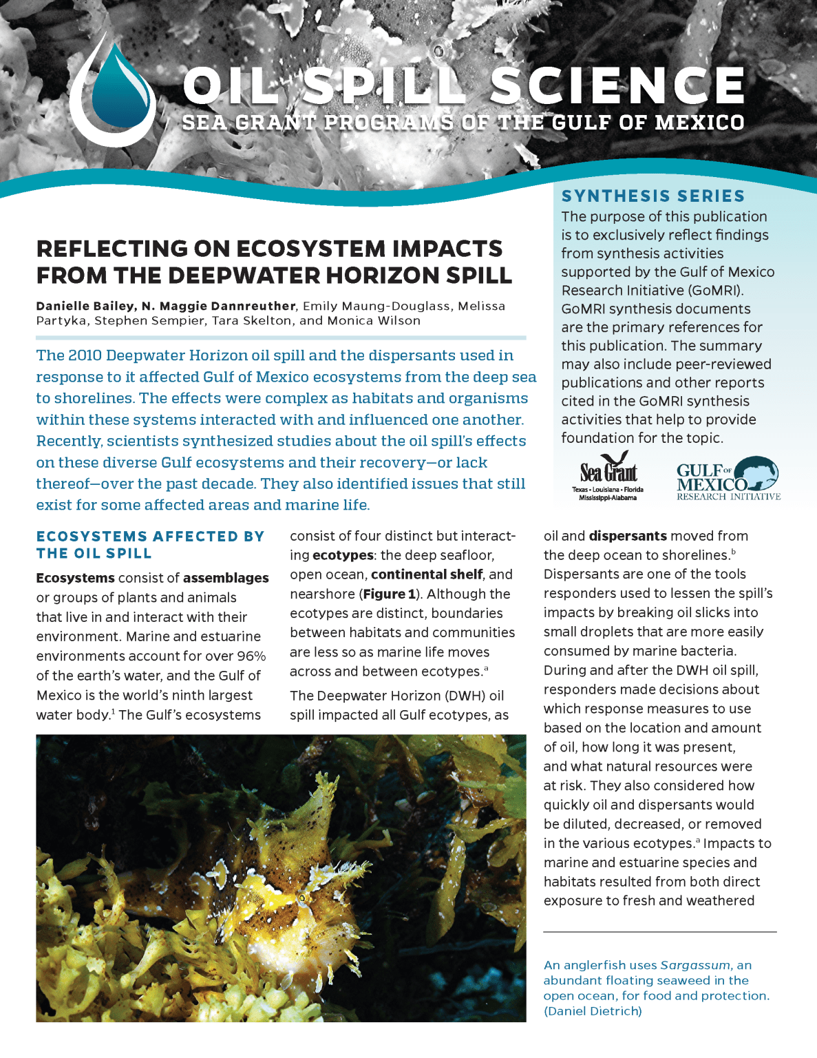 Publications – Sea Grant in the Gulf of America