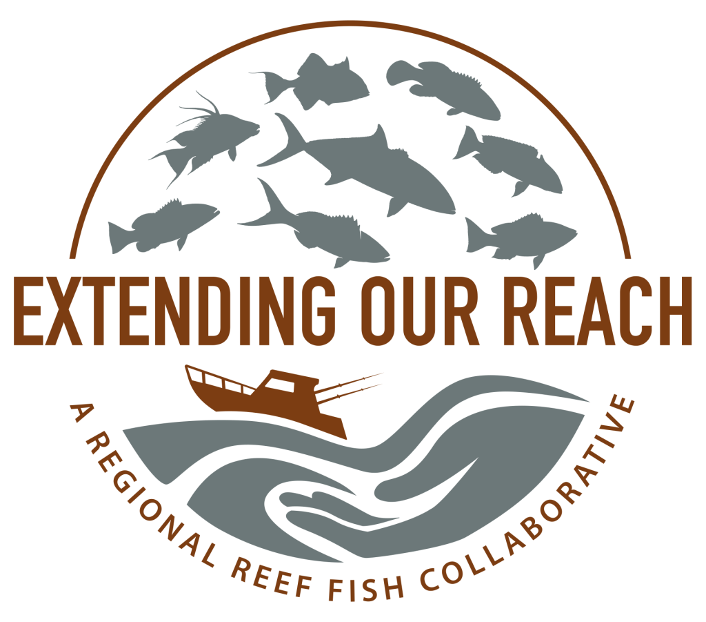 Reef Fish Extension – Sea Grant in the Gulf of America