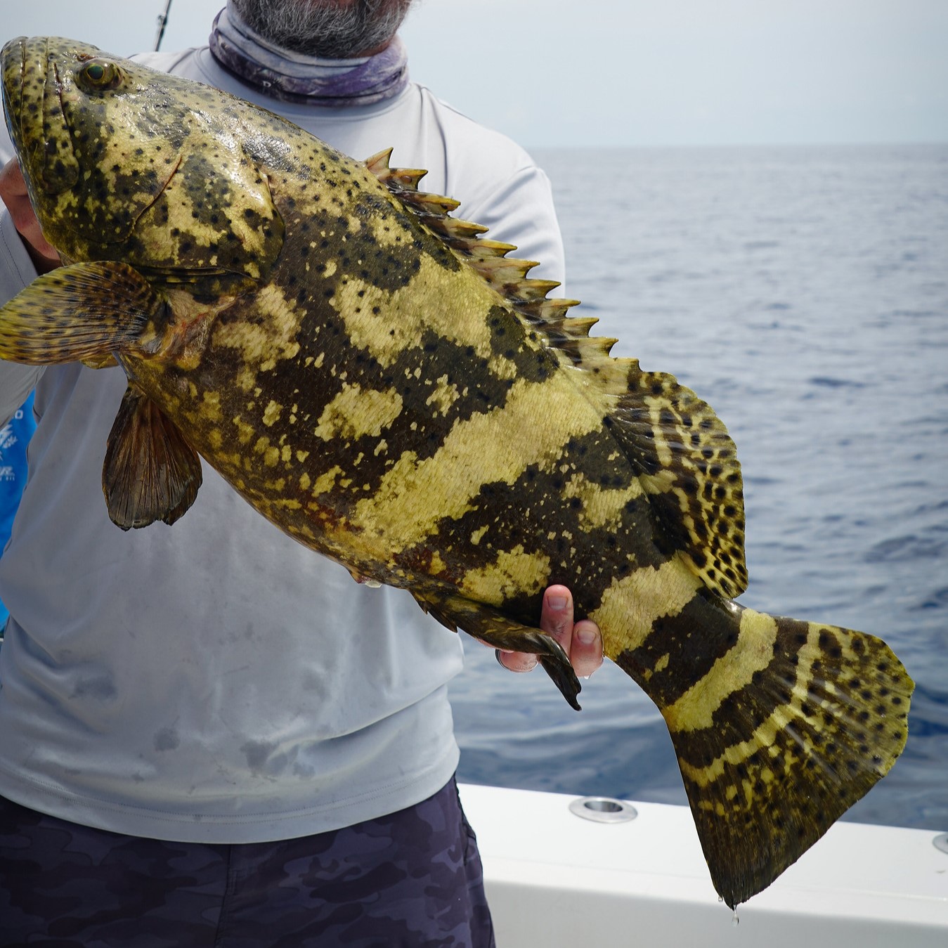 goliath – Sea Grant in the Gulf of America